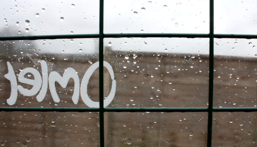 Clear Tarp for Walk in Run - Side | Omlet