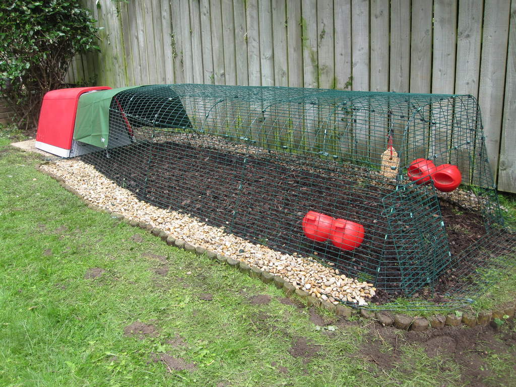 Walk In Chicken Run Extension at Adolph Sheryl blog