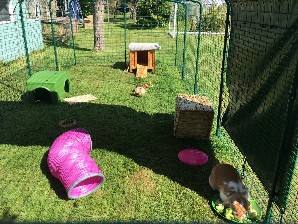 Outdoor Rabbit Run - 6ft x 6ft x 3ft | Black Friday | Black Friday | Omlet