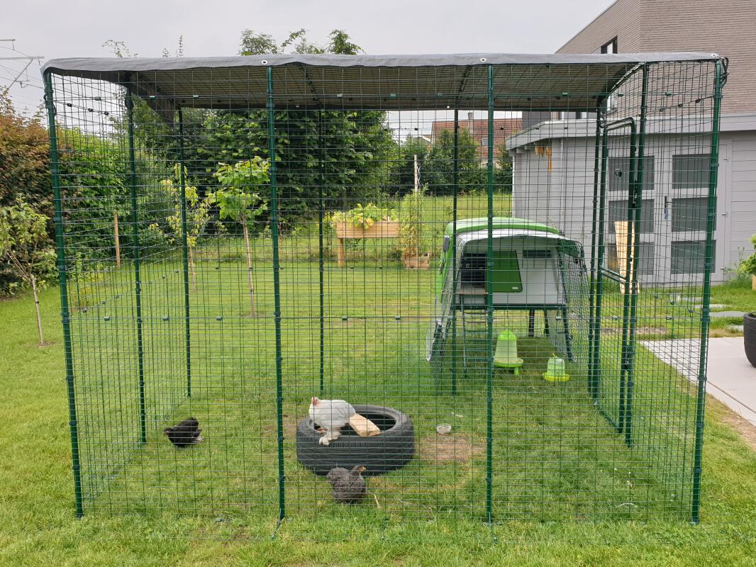 Walk in Chicken Run | Large Outdoor Chicken Enclosure
