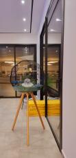 Geo Bird Cage | The Beautiful Geodesic Parakeets Cage | Omlet