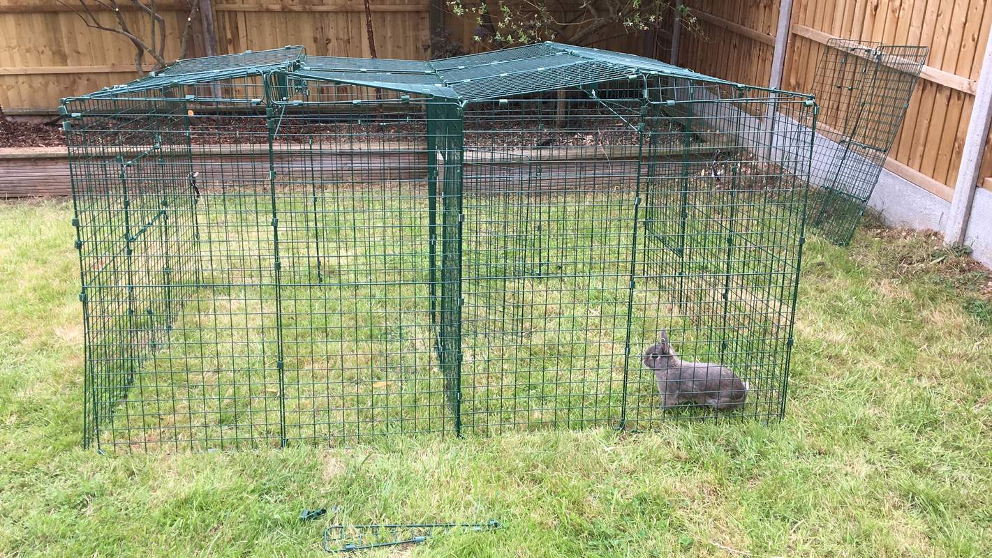 Zippi Rabbit Runs and Playpens | Omlet