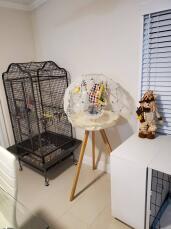 Geo Bird Cage | The Beautiful Geodesic Parakeets Cage | Omlet
