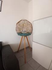 Geo Bird Cage | The Beautiful Geodesic Parakeets Cage | Omlet