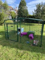Outdoor Rabbit Run | Large Outdoor Rabbit Enclosure | Omlet