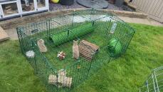 Zippi Rabbit Runs and Playpens | Omlet
