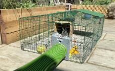 Zippi Rabbit Runs and Playpens | Omlet