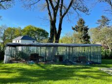 Outdoor Rabbit Run | Large Outdoor Rabbit Enclosure | Omlet