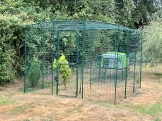 Omlet Walk in Chicken Runs | Large Outdoor Chicken Enclosure | Omlet