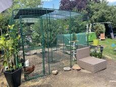 Omlet Walk in Chicken Runs | Large Outdoor Chicken Enclosure | Omlet