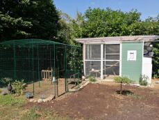 Omlet Walk in Chicken Runs | Large Outdoor Chicken Enclosure | Omlet