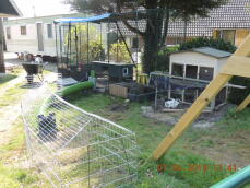 Zippi Tunnel Twin Pack with Hutch to Run Connection Kit | Omlet