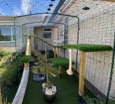 Catios & Outdoor Cat Enclosures | Omlet