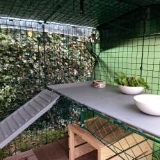 Zippi Rabbit Platforms for Zippi Runs | Omlet