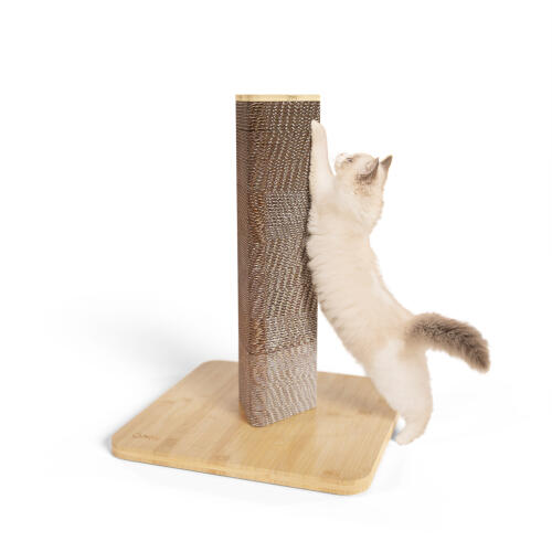 Cat Scratching Posts | Omlet