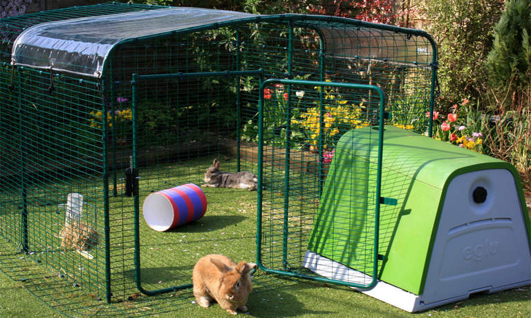 Outdoor Rabbit Run | Large Outdoor Rabbit Enclosure