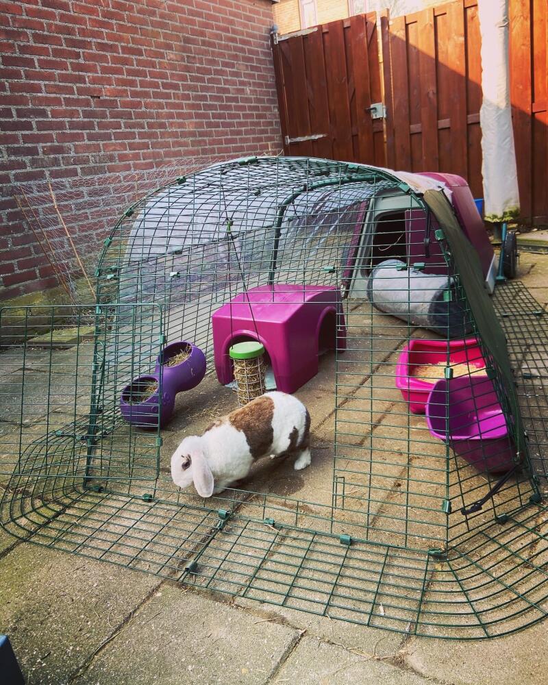 Eglu Go Rabbit Hutch | Plastic House and Run for Rabbits | Rabbit ...
