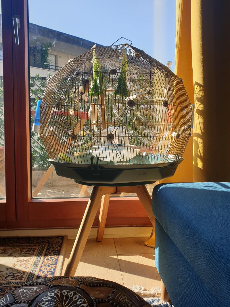 Geo Bird Cage | The Beautiful Geodesic Parakeets Cage | Bird Cages and ...
