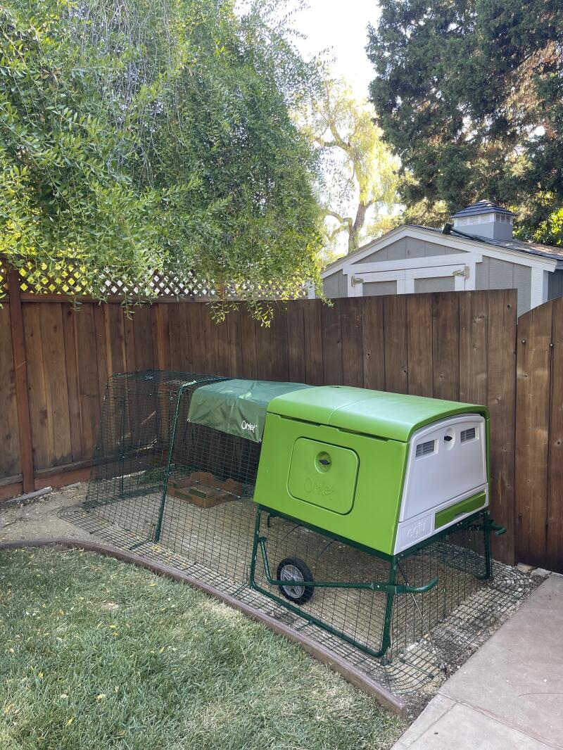 Large Eglu Cube Chicken Coop with Runs | Easy to Clean Safe Hen House ...