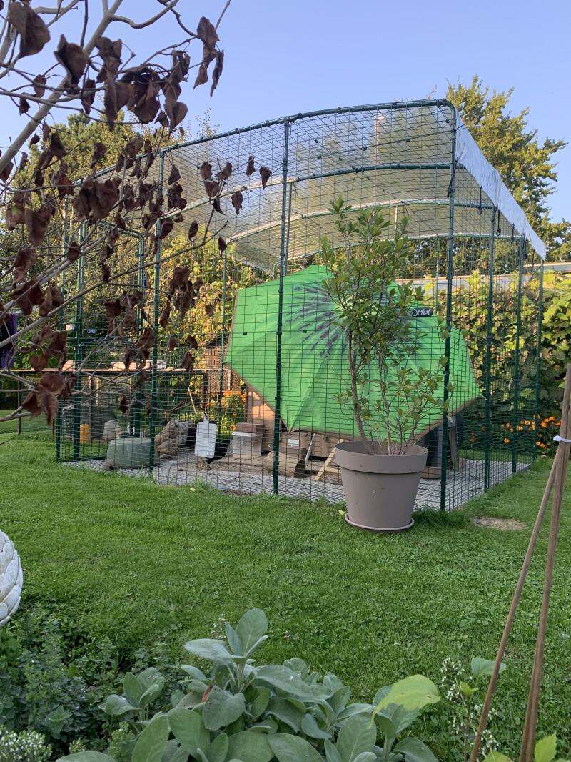 Omlet Walk in Chicken Runs | Large Outdoor Chicken Enclosure | Chicken ...