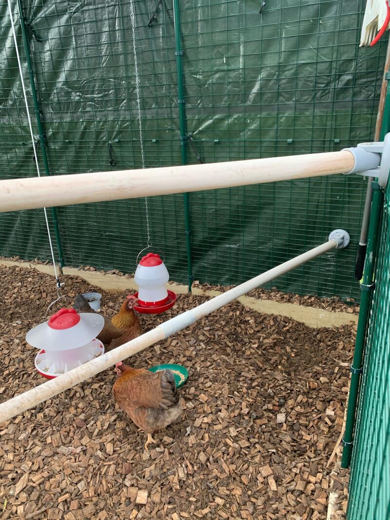 Omlet | The Omlet Chicken Perch | Chicken Coops, Walk in Chicken Runs ...