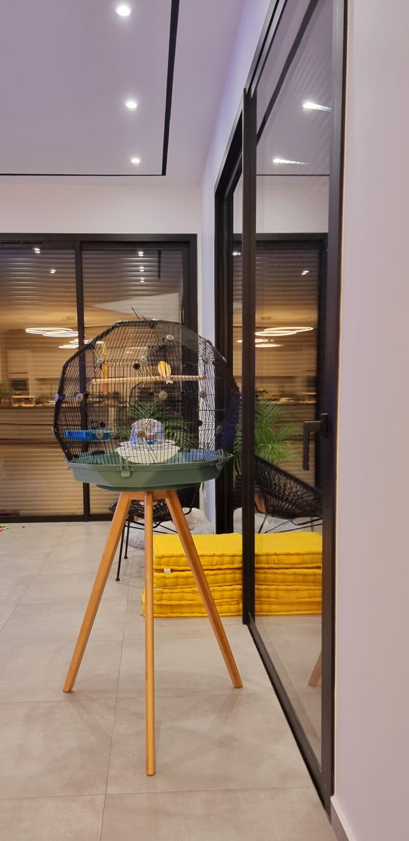 Geo Bird Cage | The Beautiful Geodesic Parakeets Cage | Bird Cages and ...
