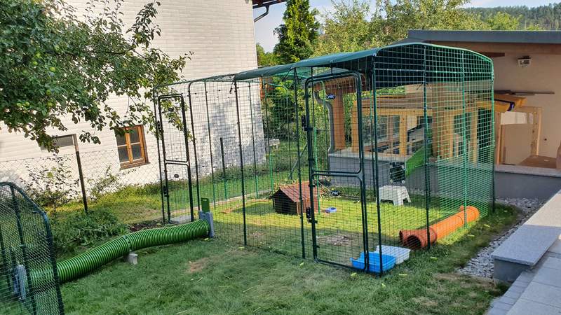 Outdoor Rabbit Run | Large Outdoor Rabbit Enclosure | Omlet