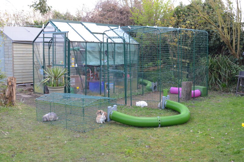Outdoor Rabbit Run | Large Outdoor Rabbit Enclosure | Omlet