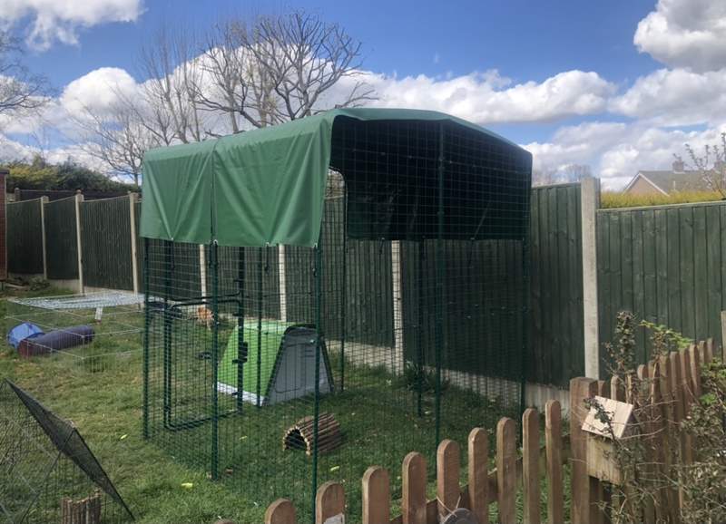 Outdoor Rabbit Run | Large Outdoor Rabbit Enclosure | Omlet