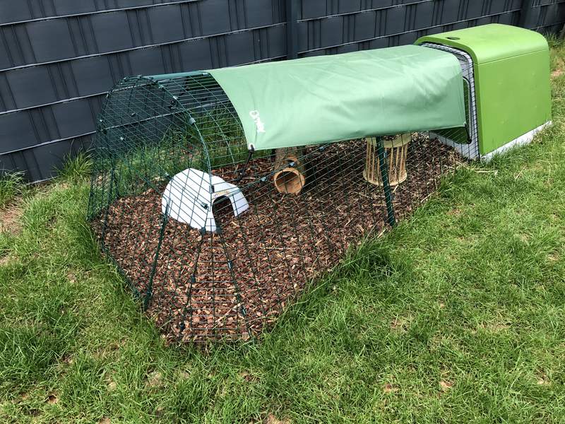 Eglu Go Guinea Pig Hutch | Guinea Pig Hutches, Guinea Pig Runs and ...