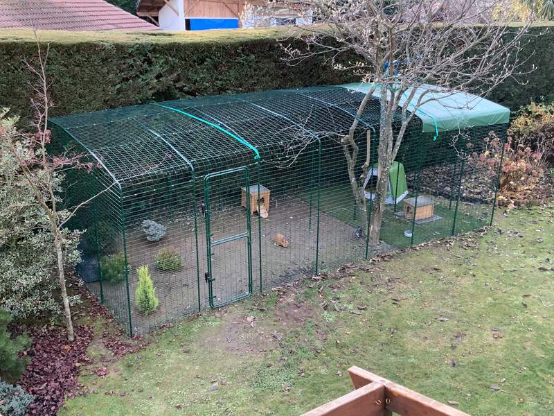 Outdoor Rabbit Run | Large Outdoor Rabbit Enclosure | Rabbit Hutches ...