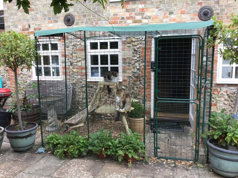 Catio Outdoor Cat Enclosure | Large Secure Enclosure For Cats | Outdoor ...