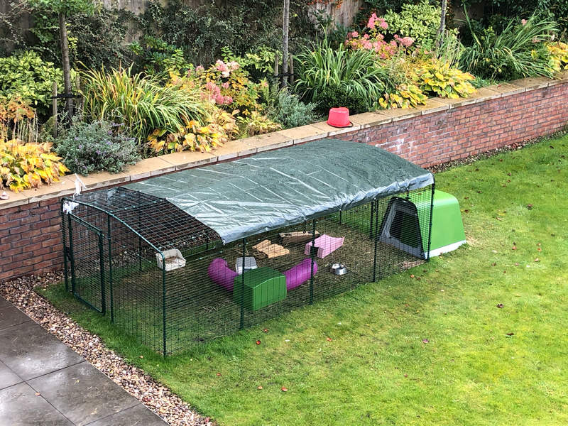 Outdoor Rabbit Run | Large Outdoor Rabbit Enclosure | Omlet