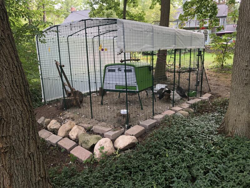 Omlet Walk in Chicken Runs | Large Outdoor Chicken Enclosure | Omlet
