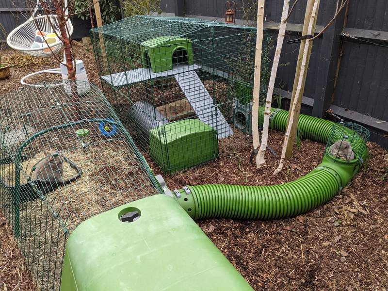 Zippi Rabbit Platforms for Zippi Runs | Omlet | Rabbit Hutches, Rabbit ...