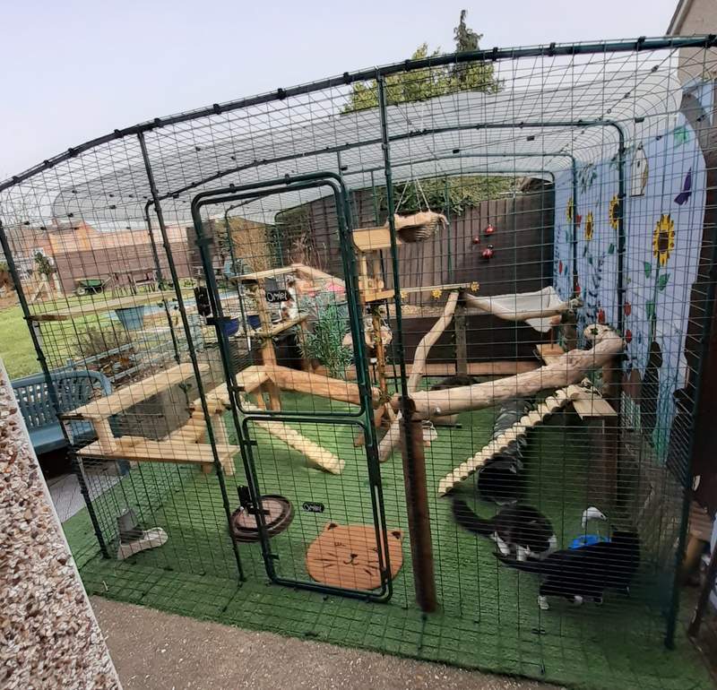 Catio Outdoor Cat Enclosure | Large Secure Enclosure For Cats | Outdoor ...