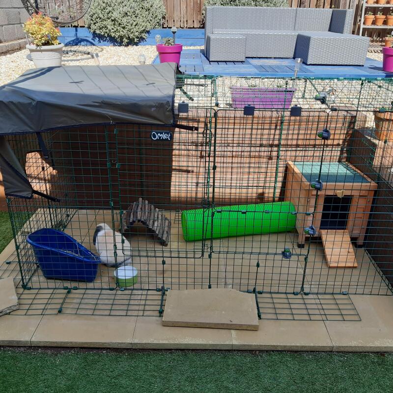 Zippi Rabbit Runs and Playpens | Omlet