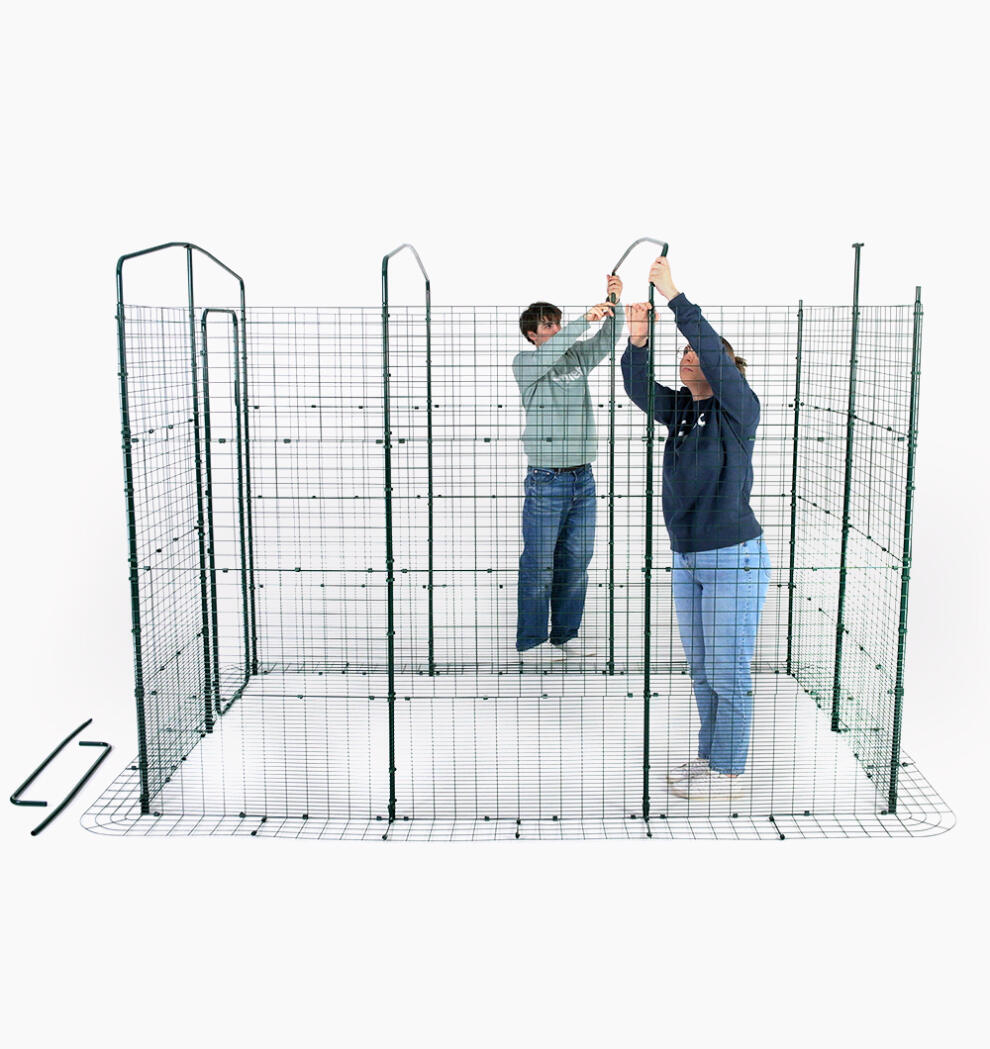 Large Walk in Chicken Runs | Omlet