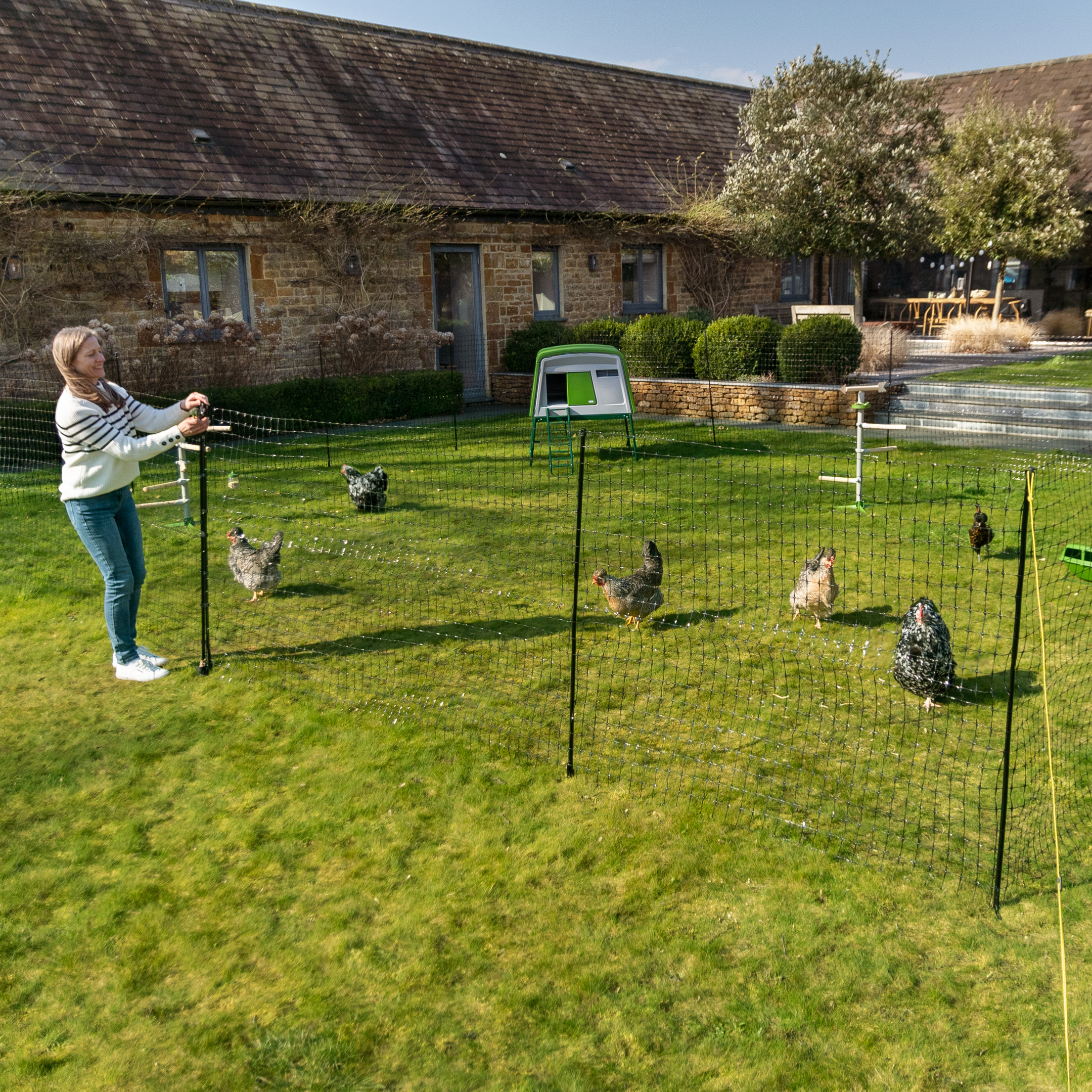 Simple Chicken Fence Design Are You Looking For Fun Chicken Run Ideas?