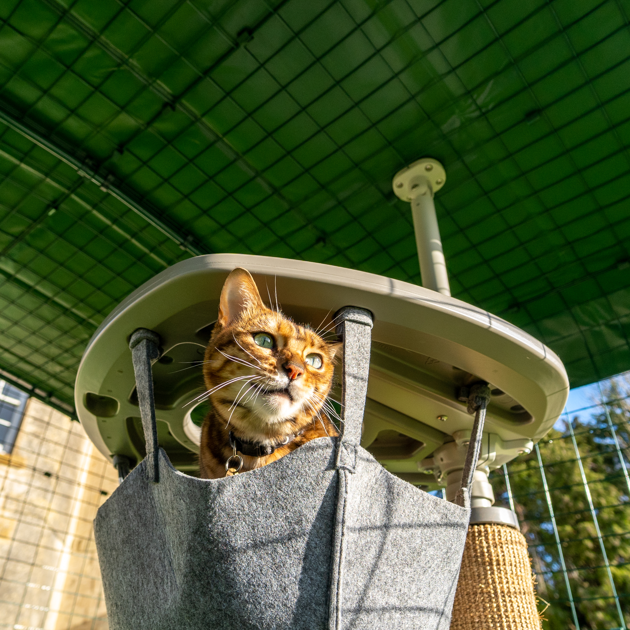 Heavy Duty Catio Cat Run Run Cover - 6ft x 6ft | Omlet