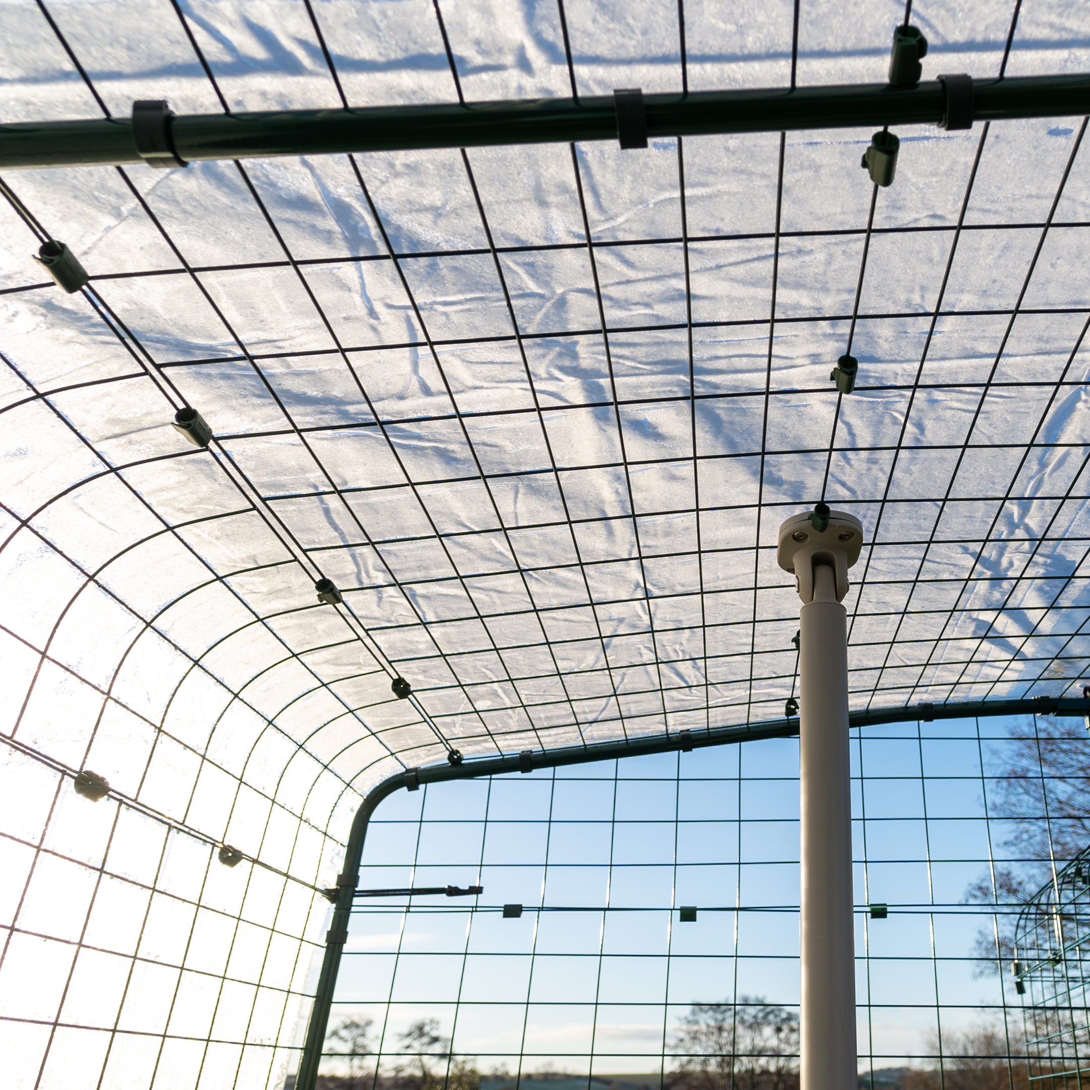 Clear Catio Cat Run Cover - 6ft x 9ft | Omlet