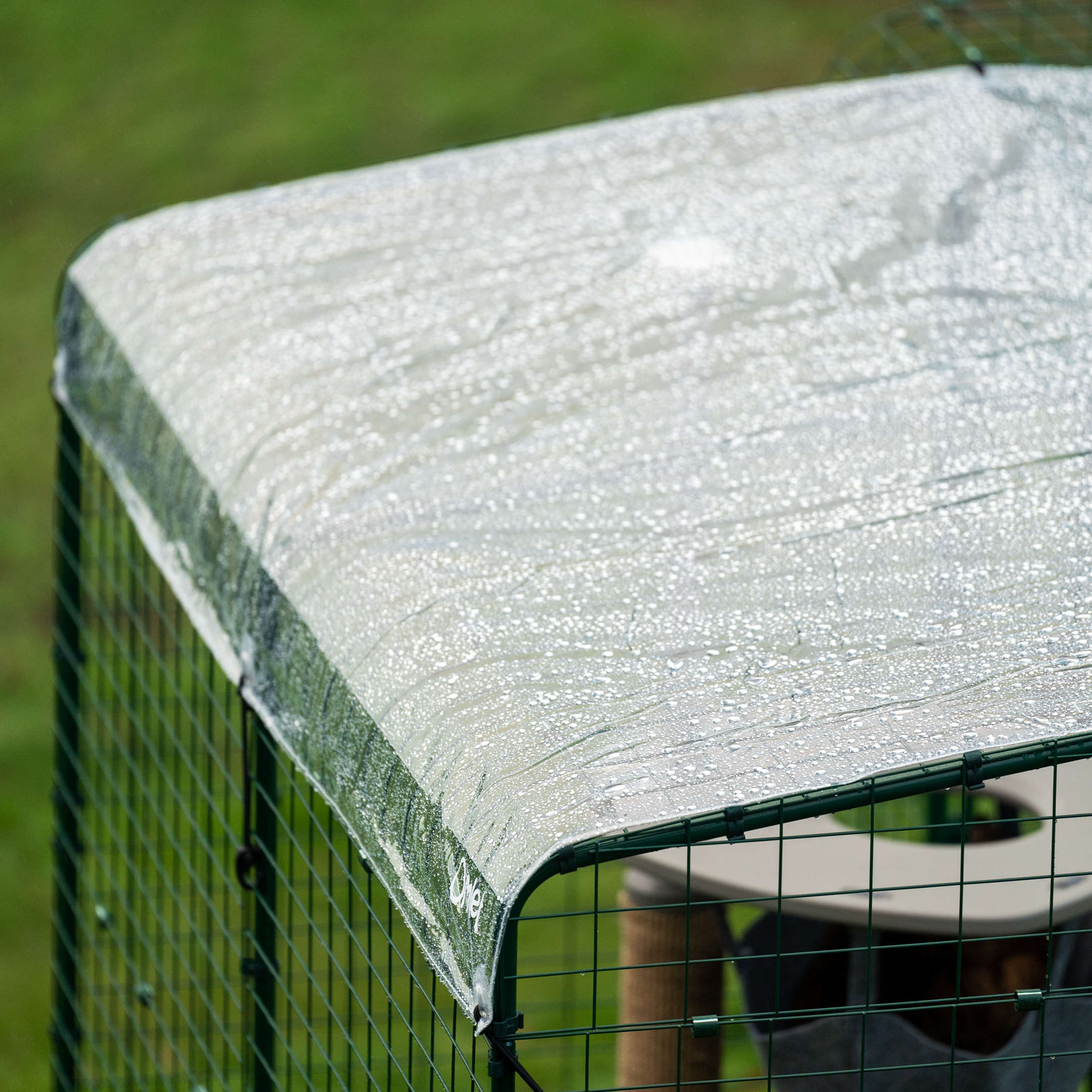 Clear Catio Cat Run Cover - 6ft x 6ft | Omlet