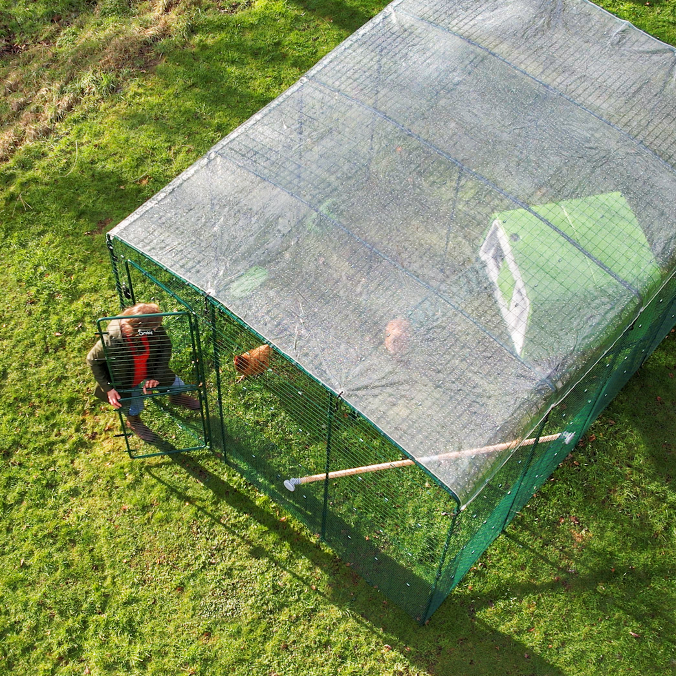Clear Chicken Run Cover - 9ft x 12ft | Omlet