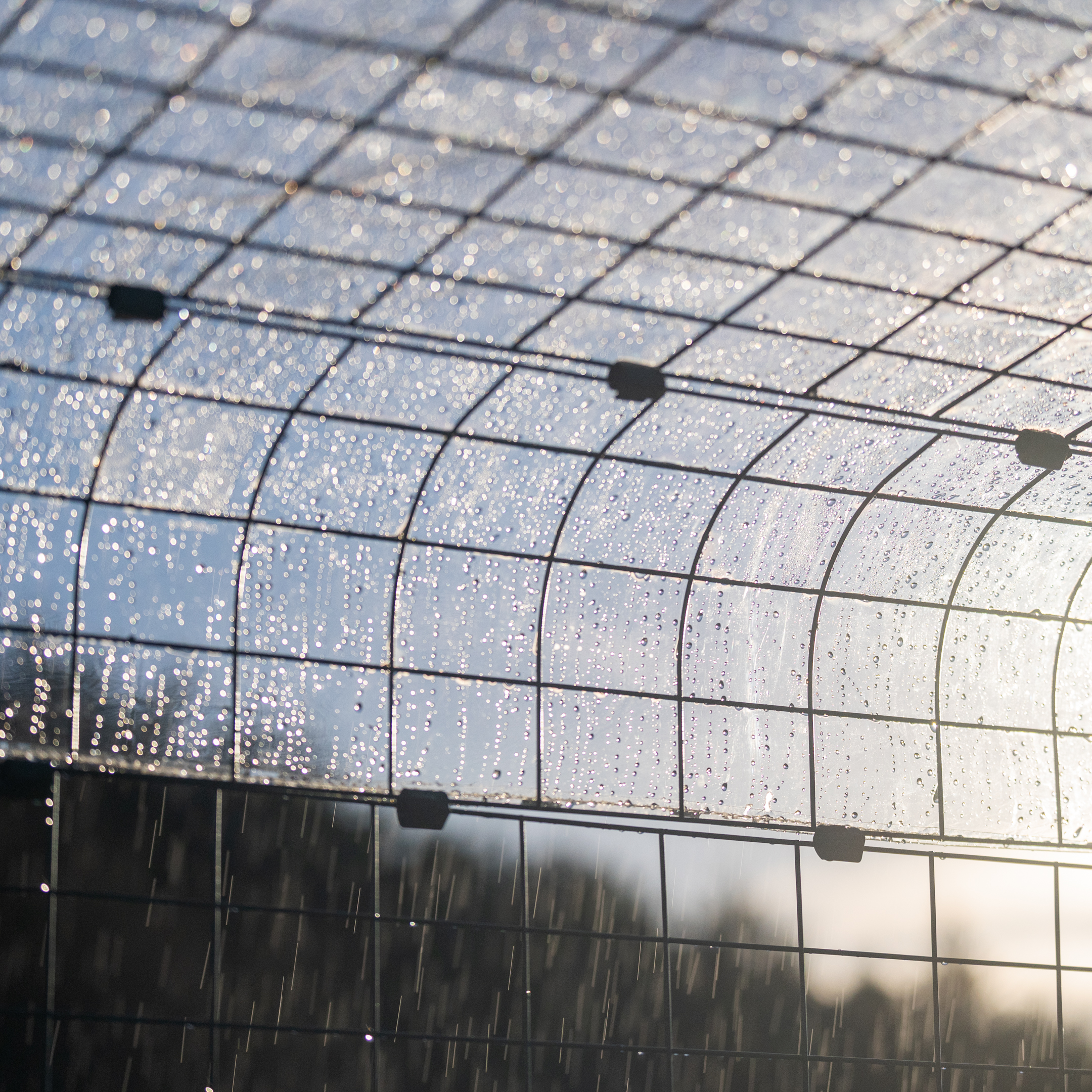 Clear Rabbit Run Cover - 9ft x 9ft | Omlet