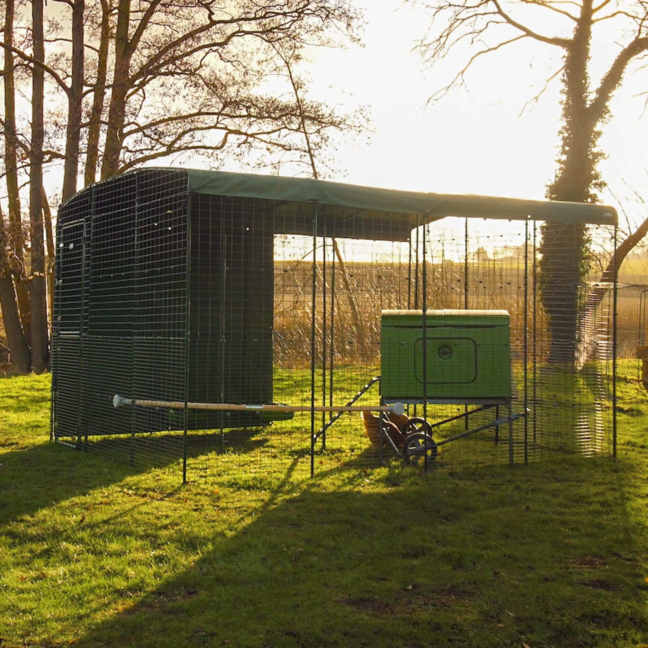 Heavy Duty Chicken Run Cover - 9ft x 9ft | Omlet