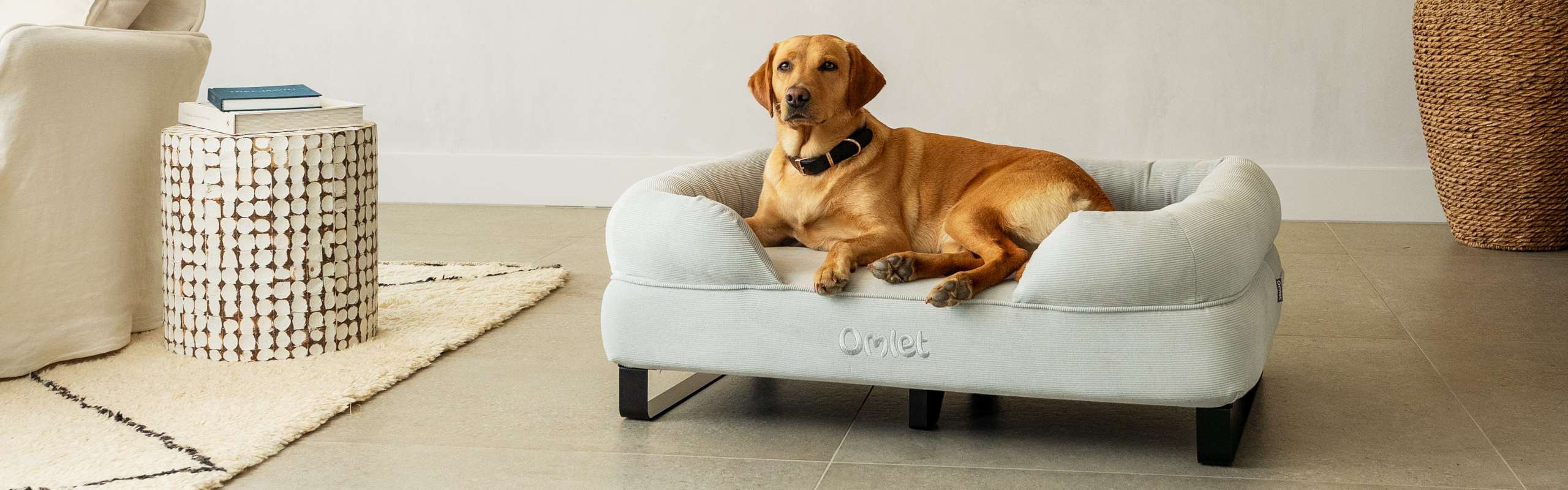 Patterned Dog Beds | Omlet
