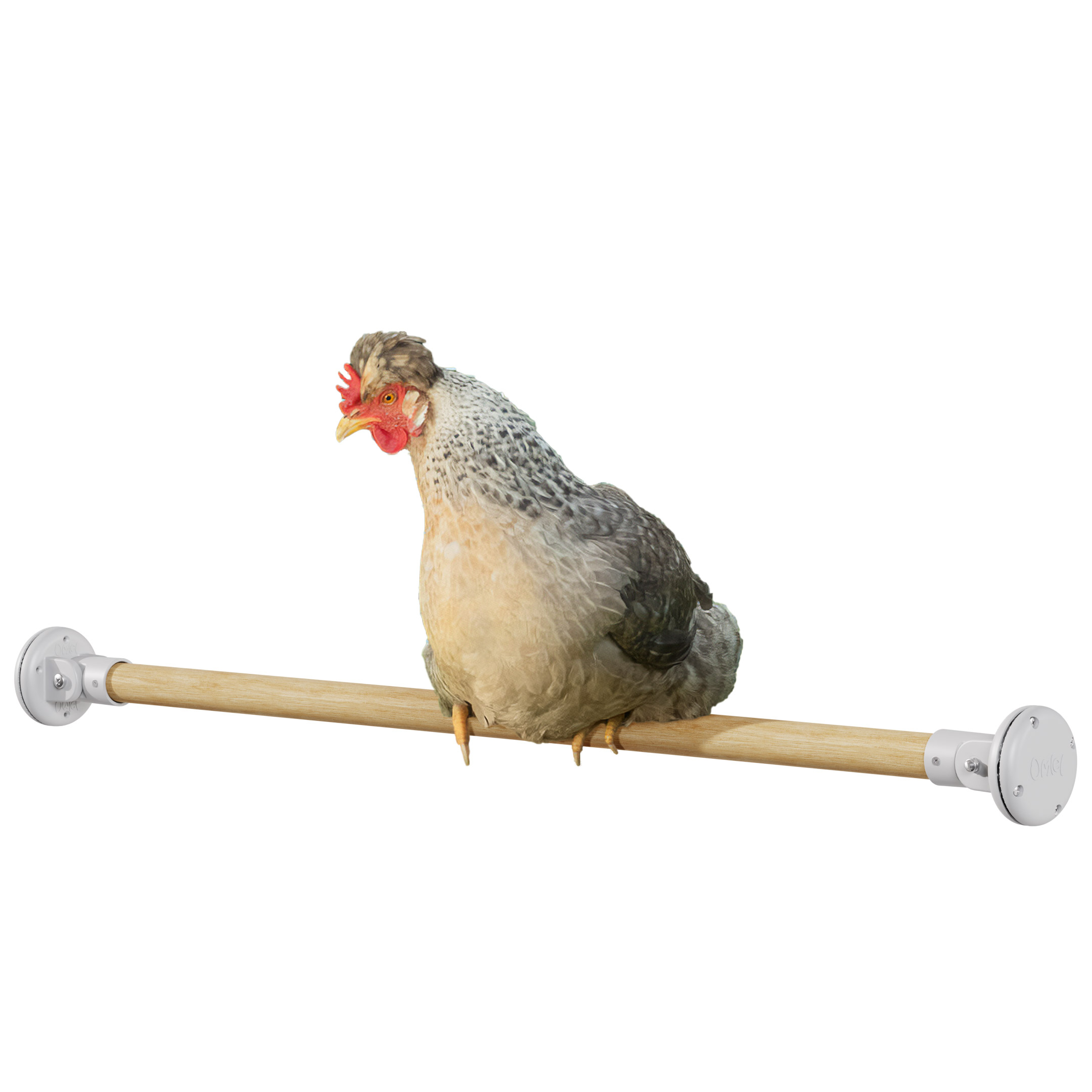 Omlet Chicken Perch - 3ft | Omlet