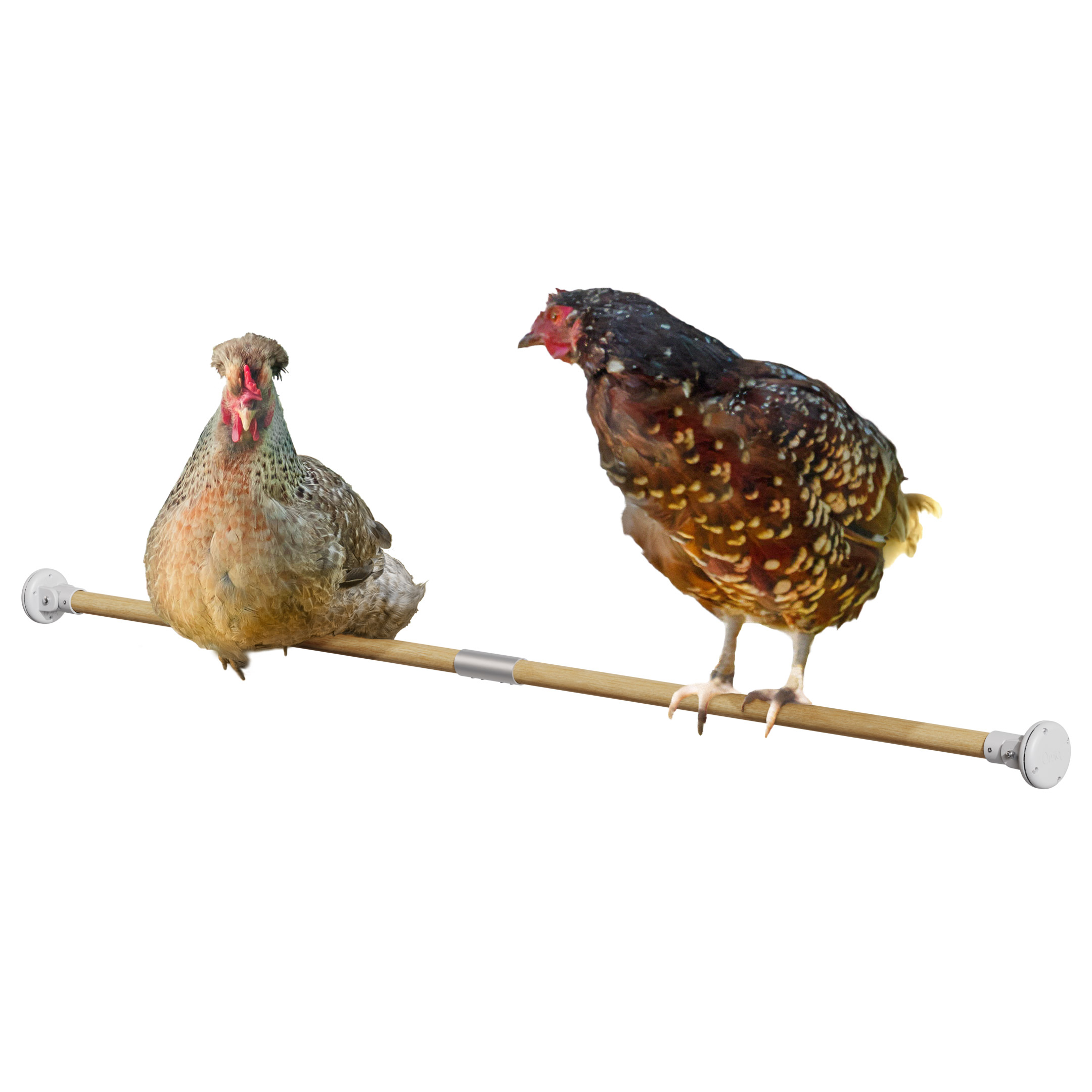Omlet Chicken Perch - 6ft | Omlet