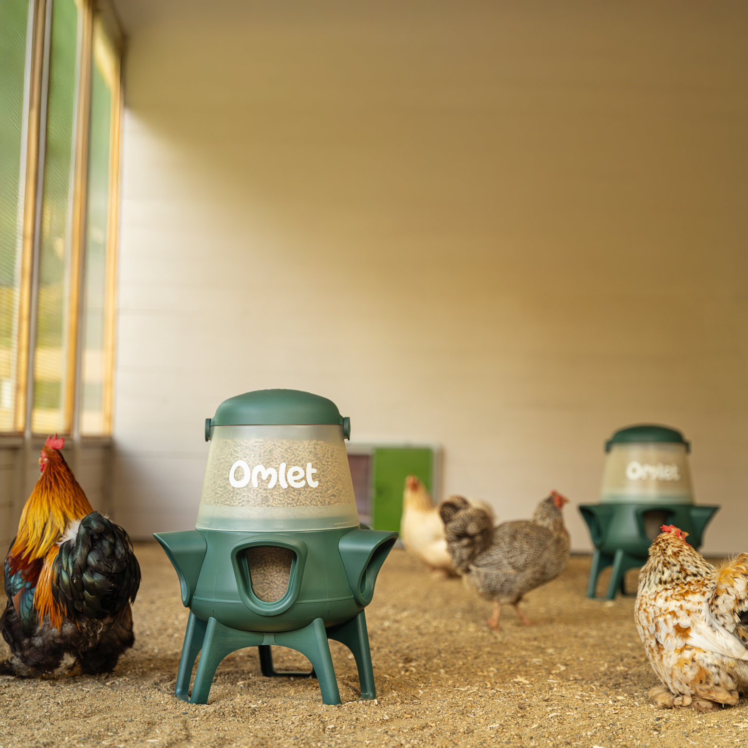 Omlet No Waste Chicken Feeder | Omlet
