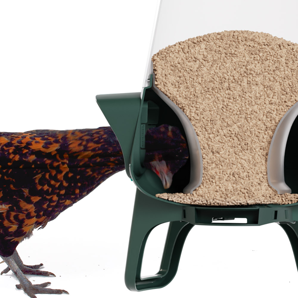 No Waste Chicken Feeder - No Spill, Anti-Bully | Omlet